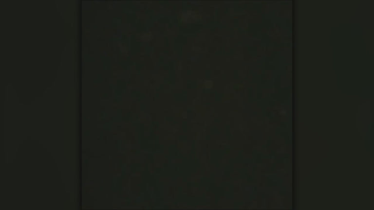 Products – Ellis Lost